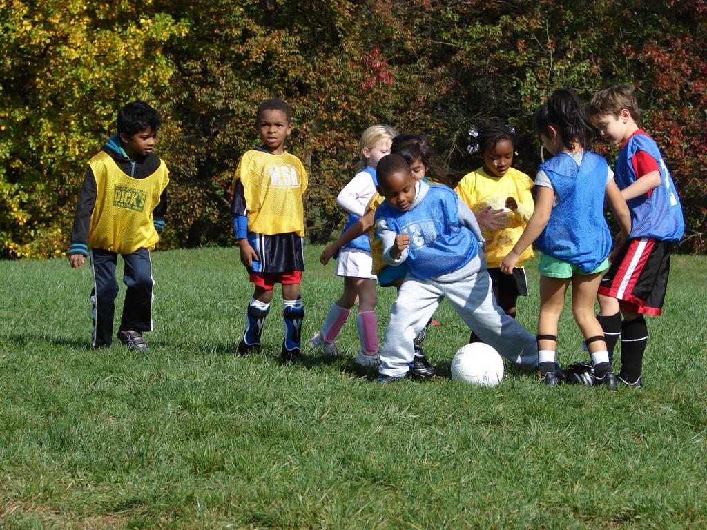msa-soccer-league