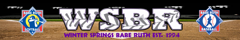 Winter Springs Babe Ruth