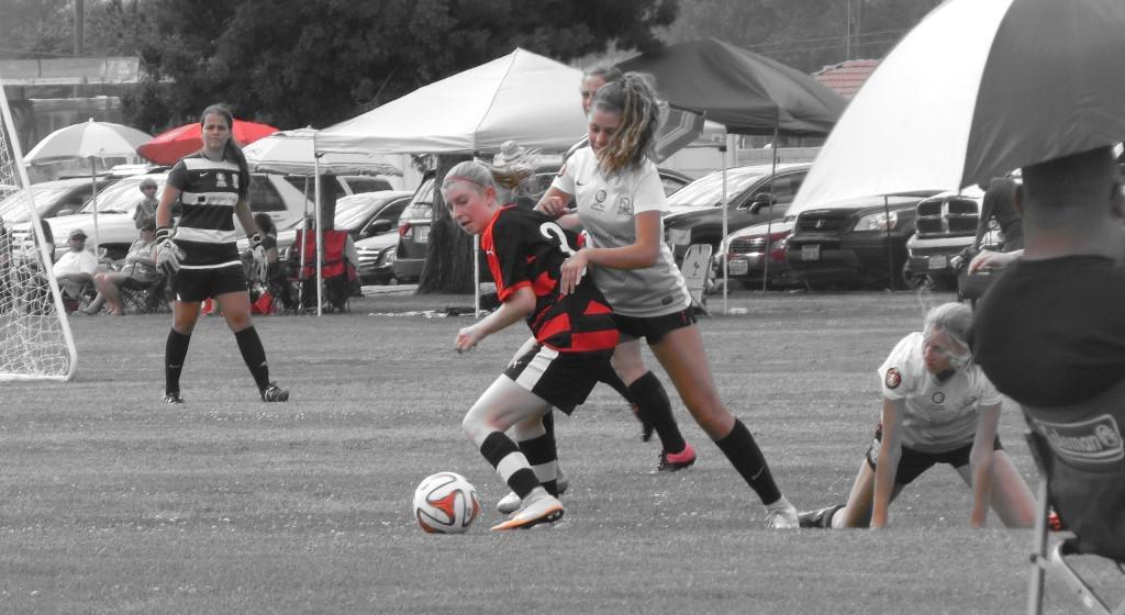 Antelope Valley Futbol Club