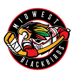 2023-2024 Midwest Blackbirds Youth Programs Overview