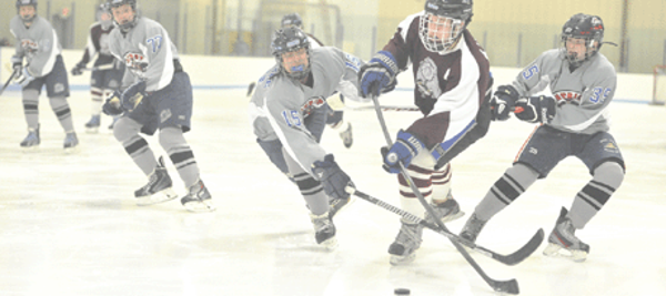 Piedmont Predators Play for Their Local Middle School Hockey Teams