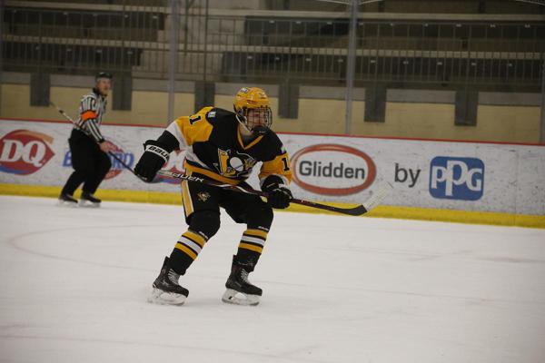 Five Dick's Sporting Goods Pittsburgh Penguins Elite Players Selected ...