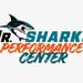 San Jose Jr Sharks