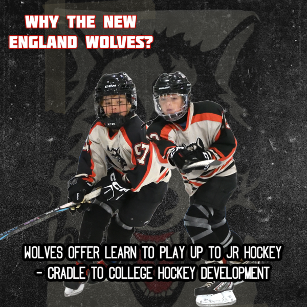 Why the New England Wolves?