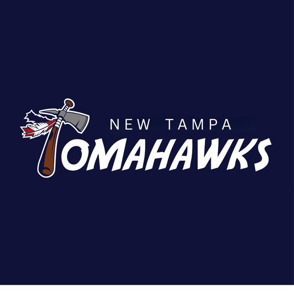 Improving the Game: NTAA’s New Division Alignment Explained