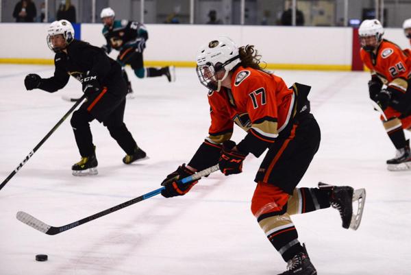 Eight Lady Ducks selected for USAH National Player Development Camps