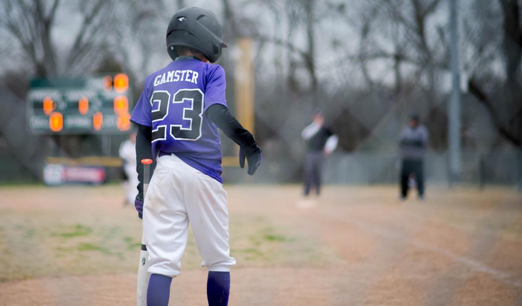 Flower Mound Youth Baseball World Series | Best Flower Site