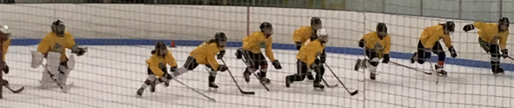 CT Youth Hockey Camps And Clinics ct-youth-hockey-camps-and-clinics