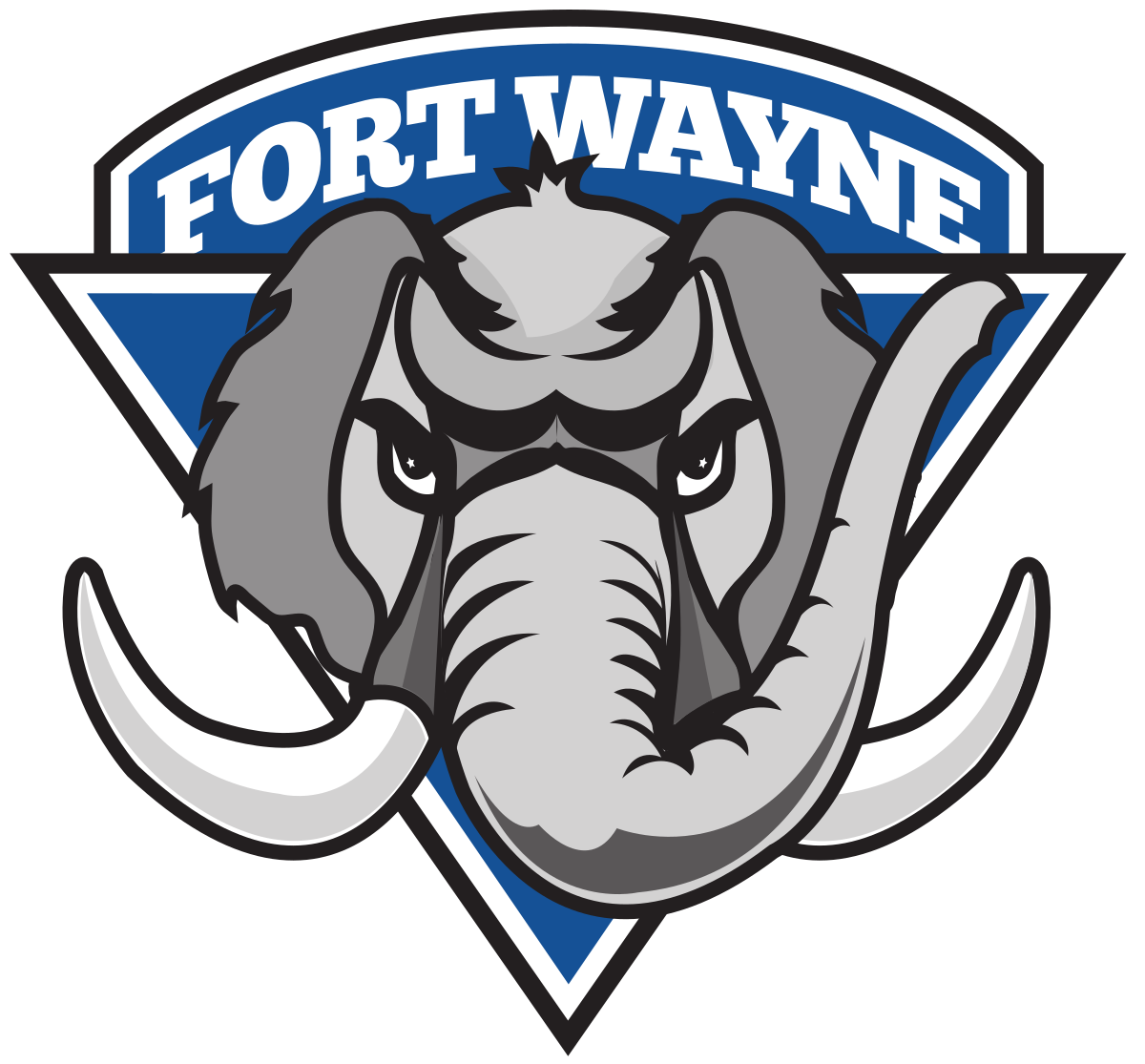 WHY FORT WAYNE UNITED?