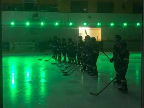 Rosemount Area Hockey Association