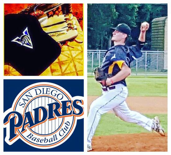 Vipers Baseball Club