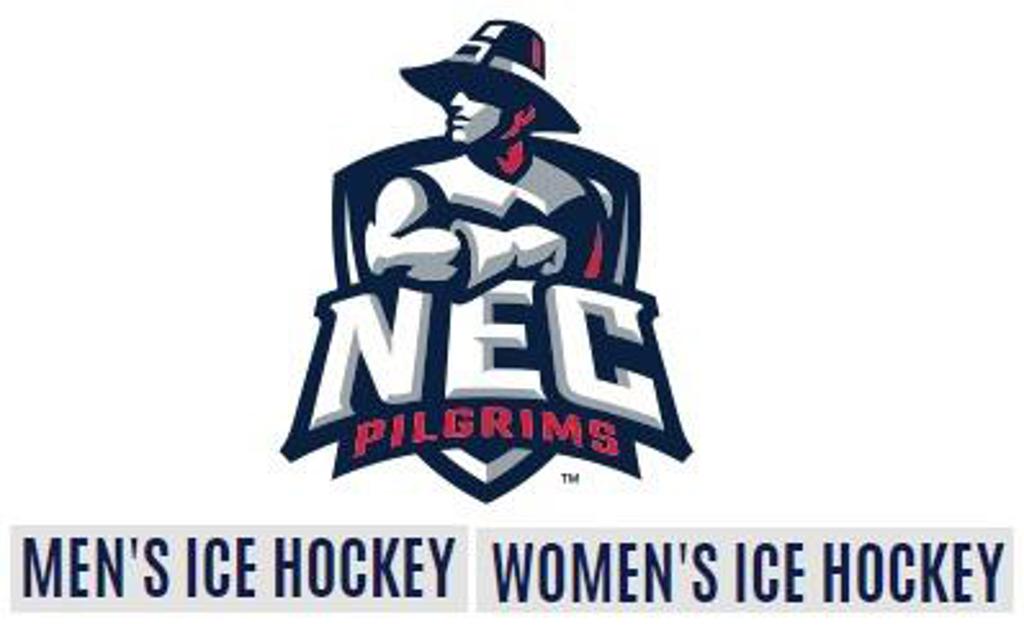 New Hampshire Amateur Hockey Association