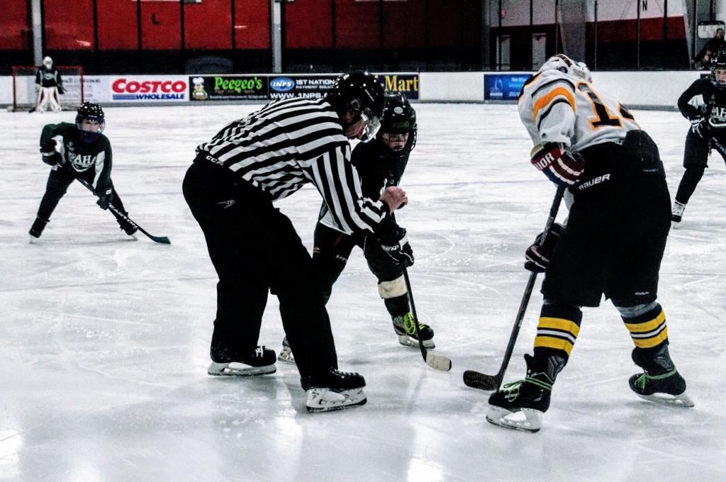 Alpena Hockey Association
