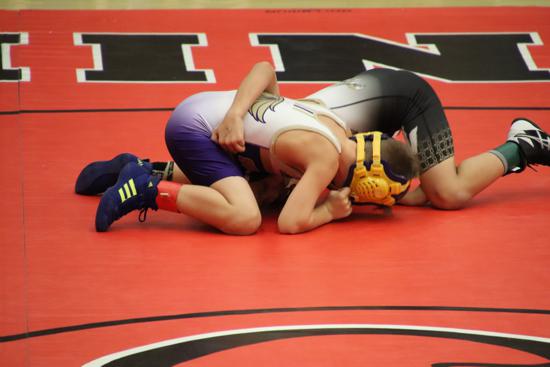 Stallions Wrestling