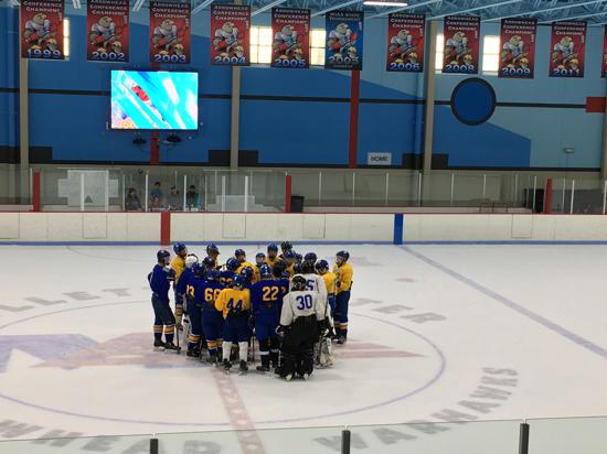 Warren Blue Devils Hockey
