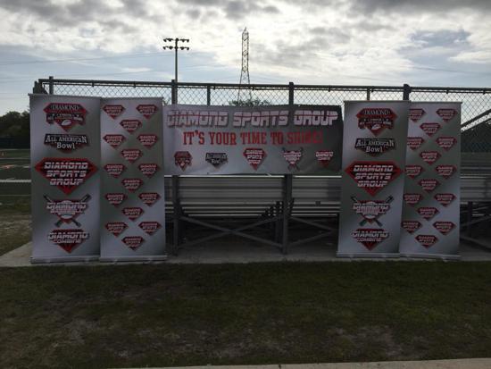 Diamond Sports Group