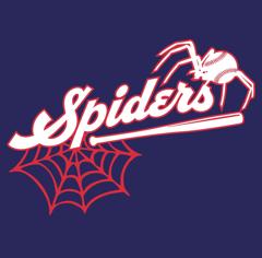 Springfield Spiders