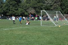 Walnut Creek Surf Soccer Club