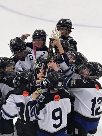 Rogers Youth Hockey Association