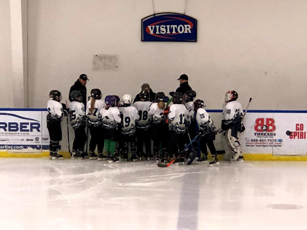 Alpena Hockey Association