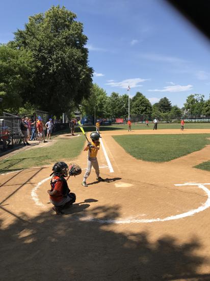 Central Cambridge Youth Baseball