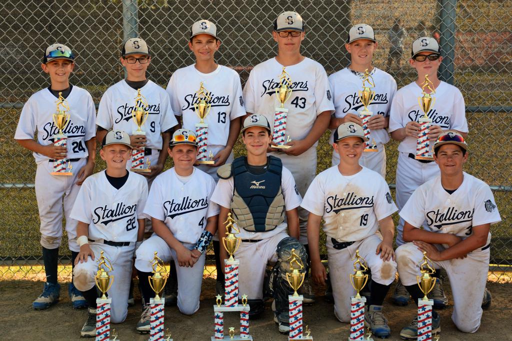 Stallions Baseball (ML)