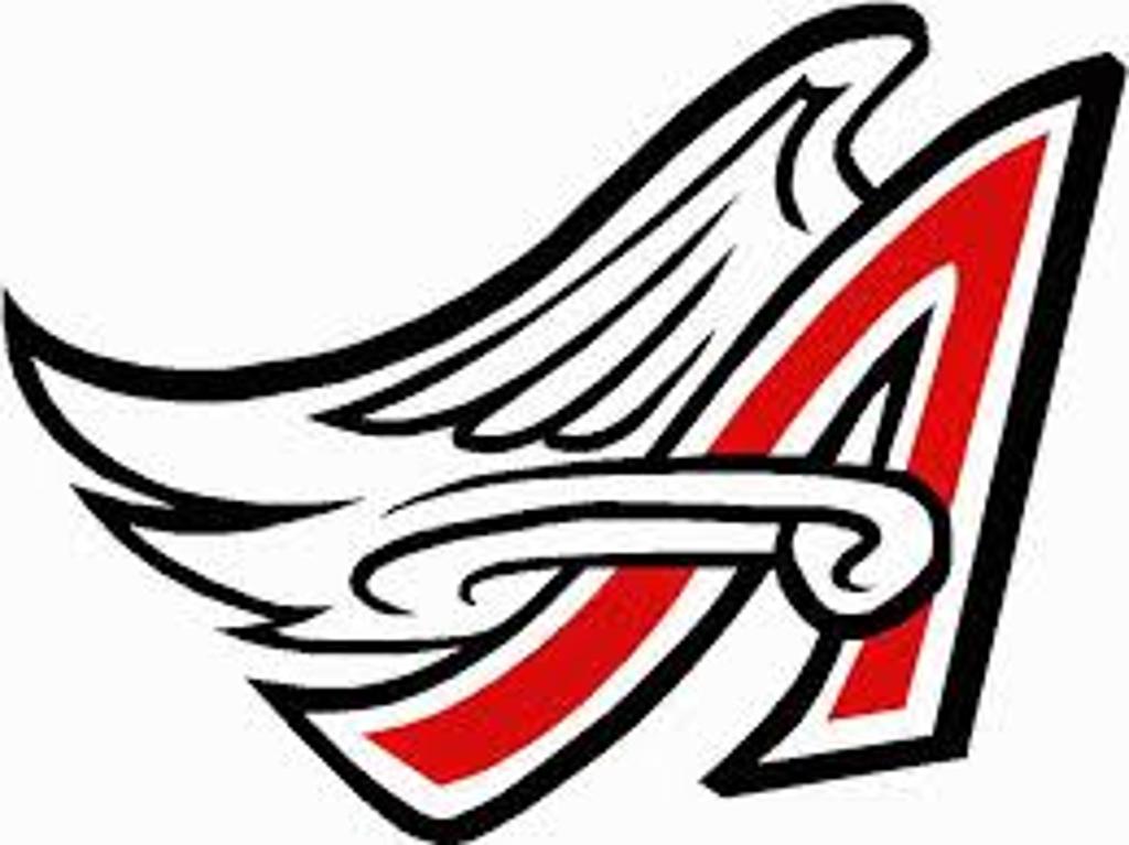 Abbotsford Angels