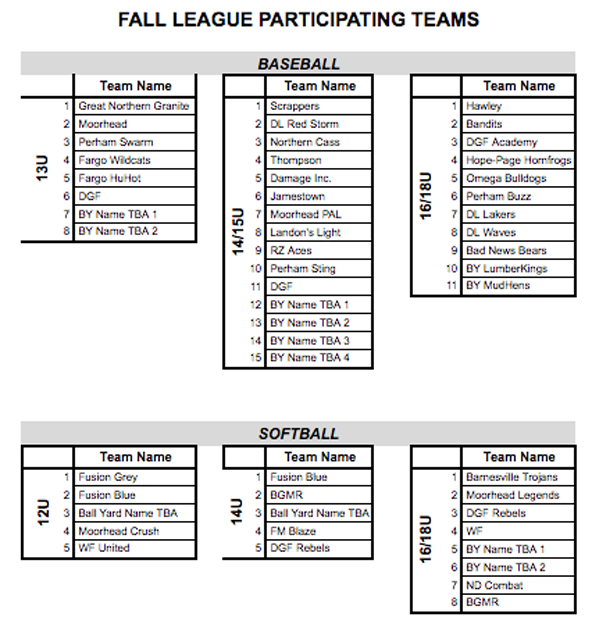 2020 Fall Softball League
