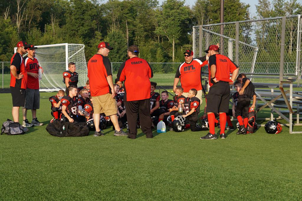 Delaware Football League