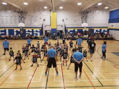 Pelham Panthers Basketball Association