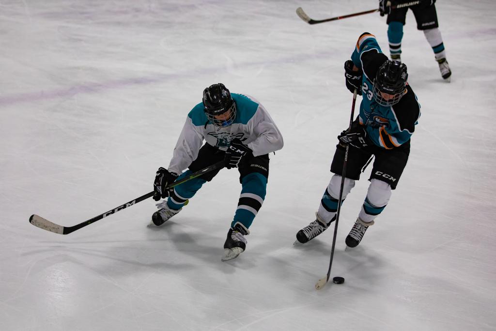 Lakers Hockey Club Association
