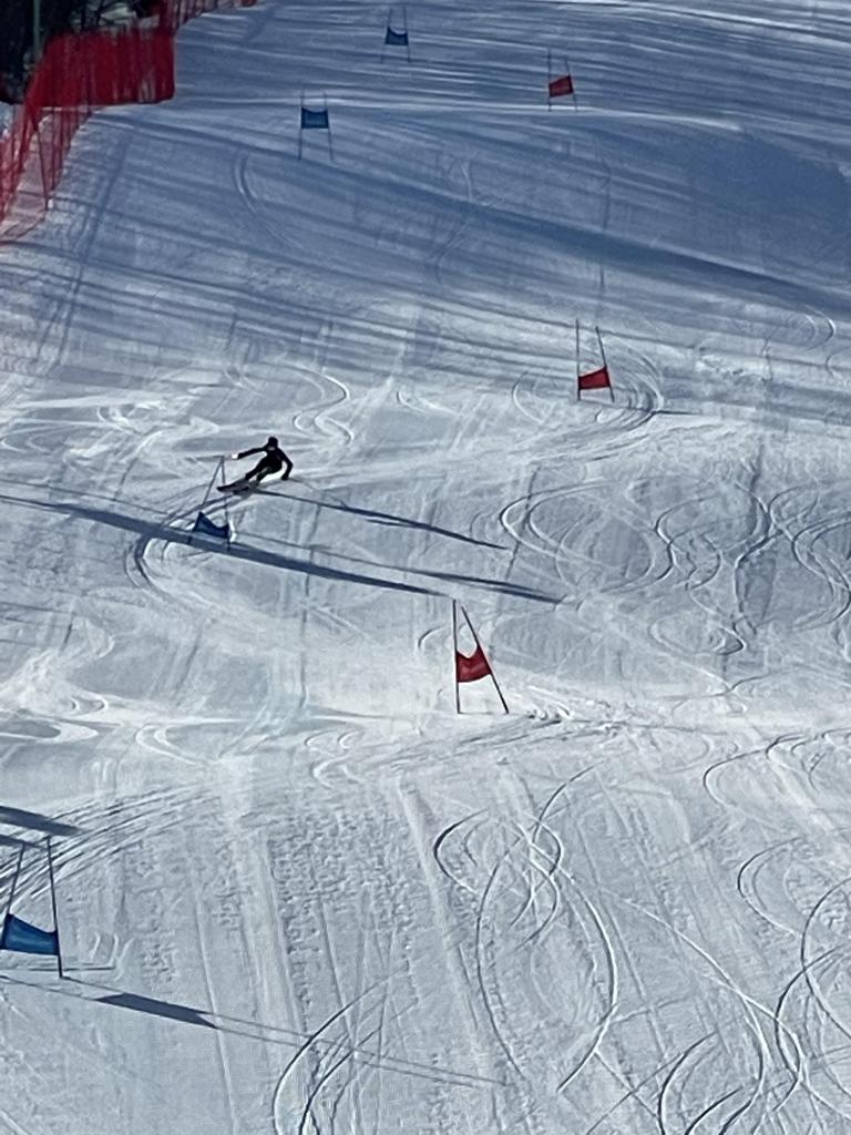FIS Academy Program