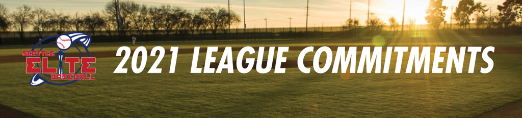 Seattle Elite Baseball