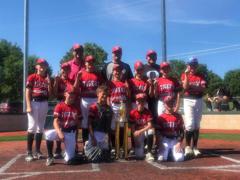 Omaha Tigers Baseball