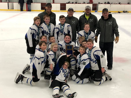 Rogers Youth Hockey Association