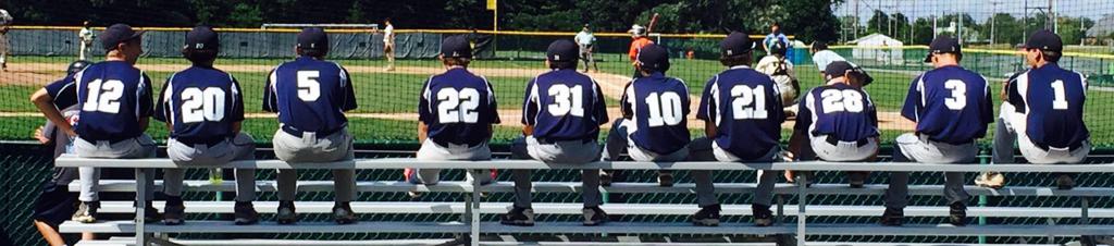 Monroe County Baseball Region