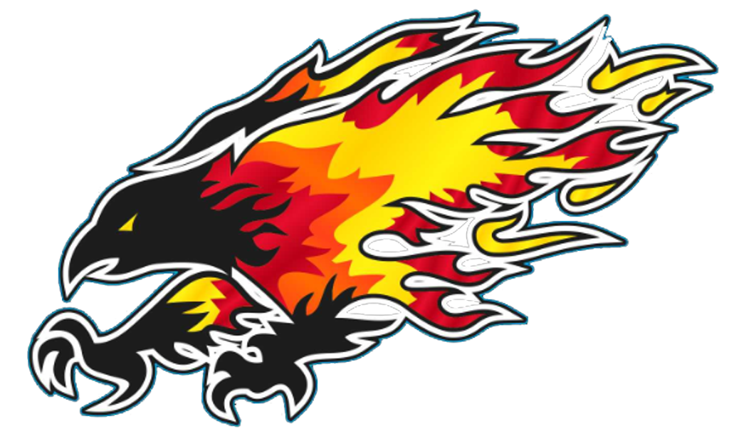 Scottsdale Youth Football - Firebirds