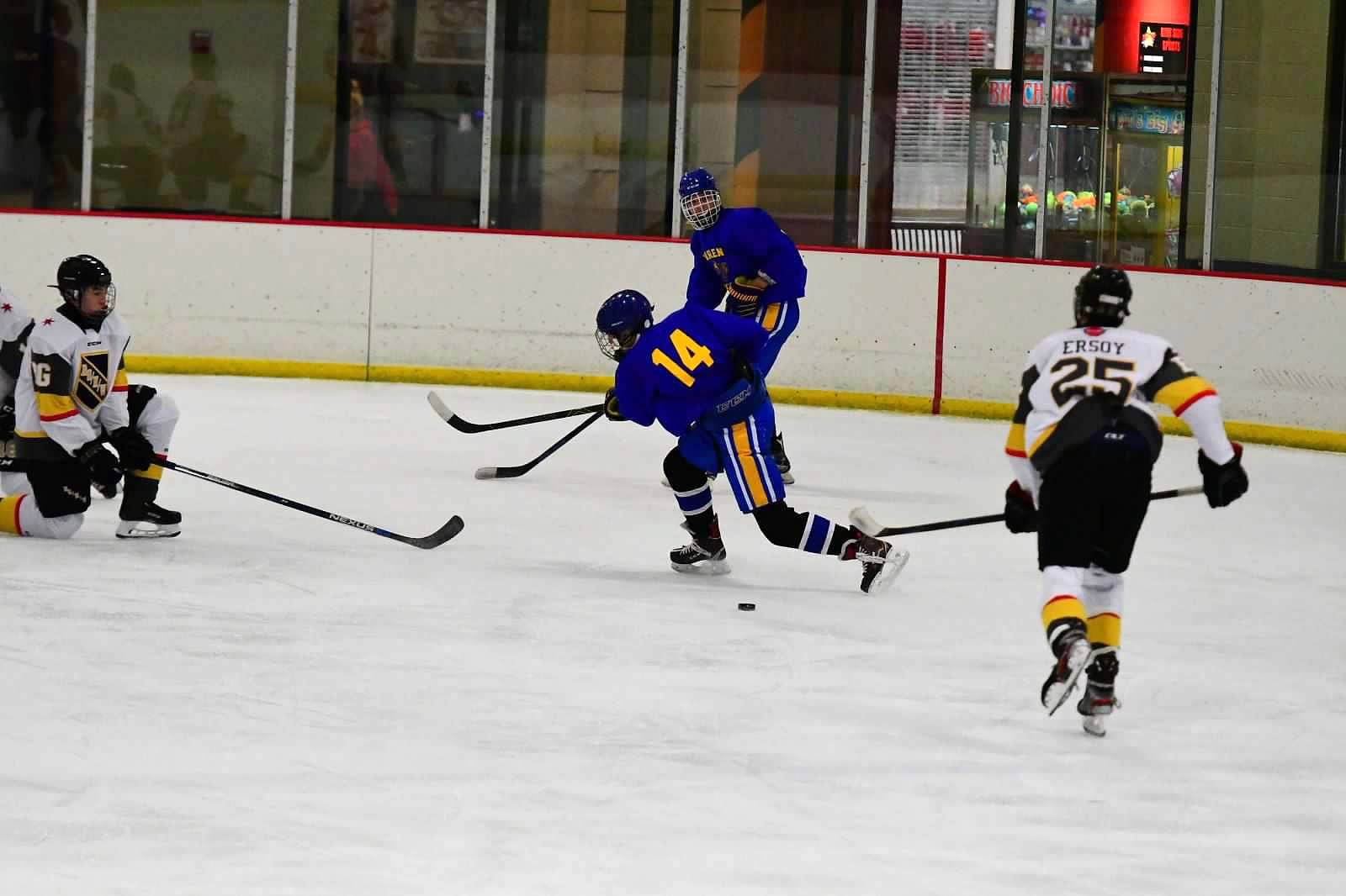 Warren Blue Devils Hockey