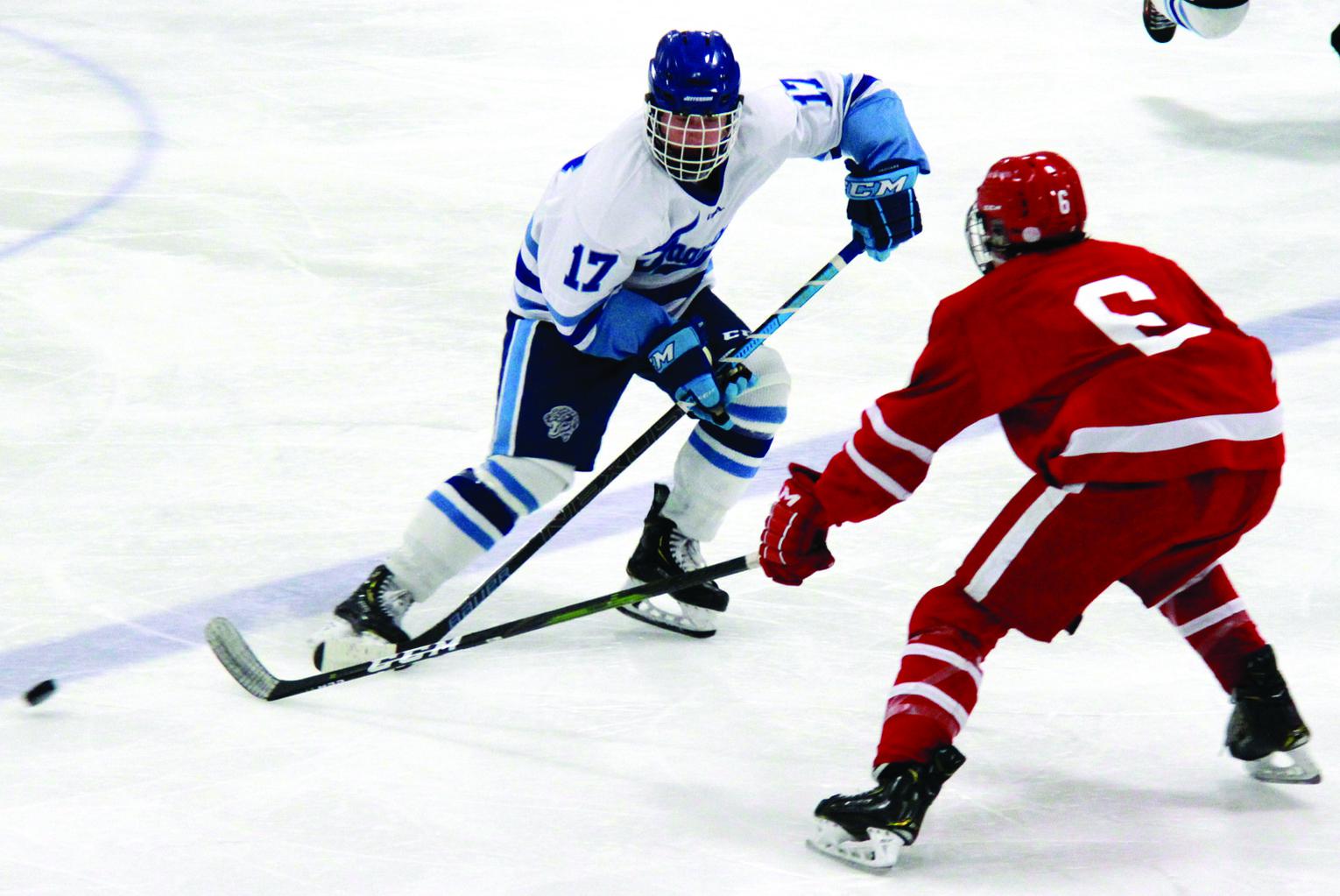 Hockey Defenseman
