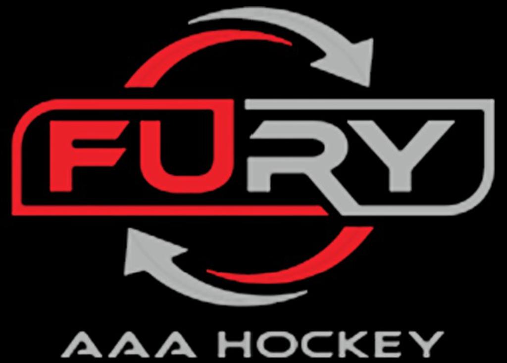 Fury AAA 2010