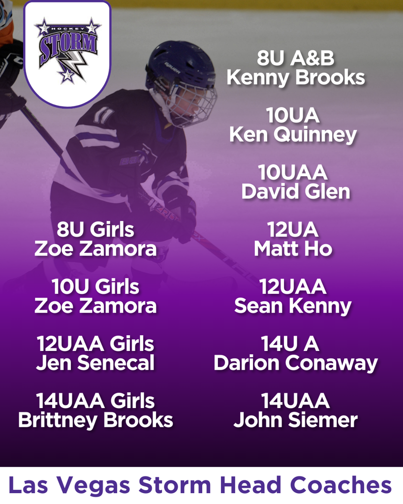 Las Vegas Storm Hockey