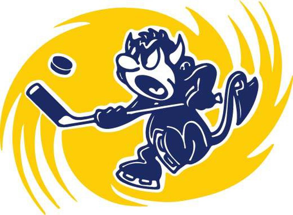Warren Blue Devils Hockey