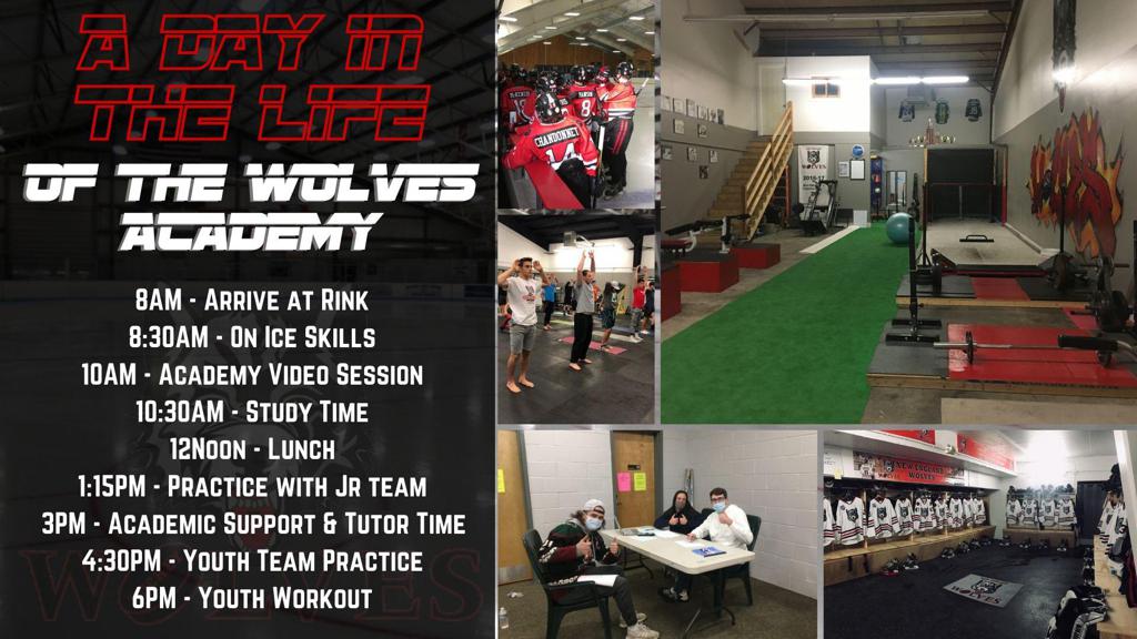 What is Wolves Academy?