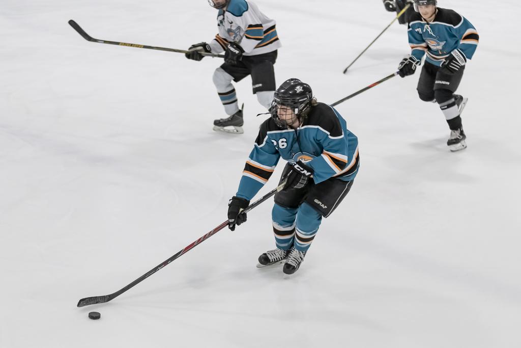 Lakers Hockey Club Association
