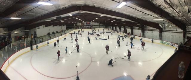 Learn to Skate and Play