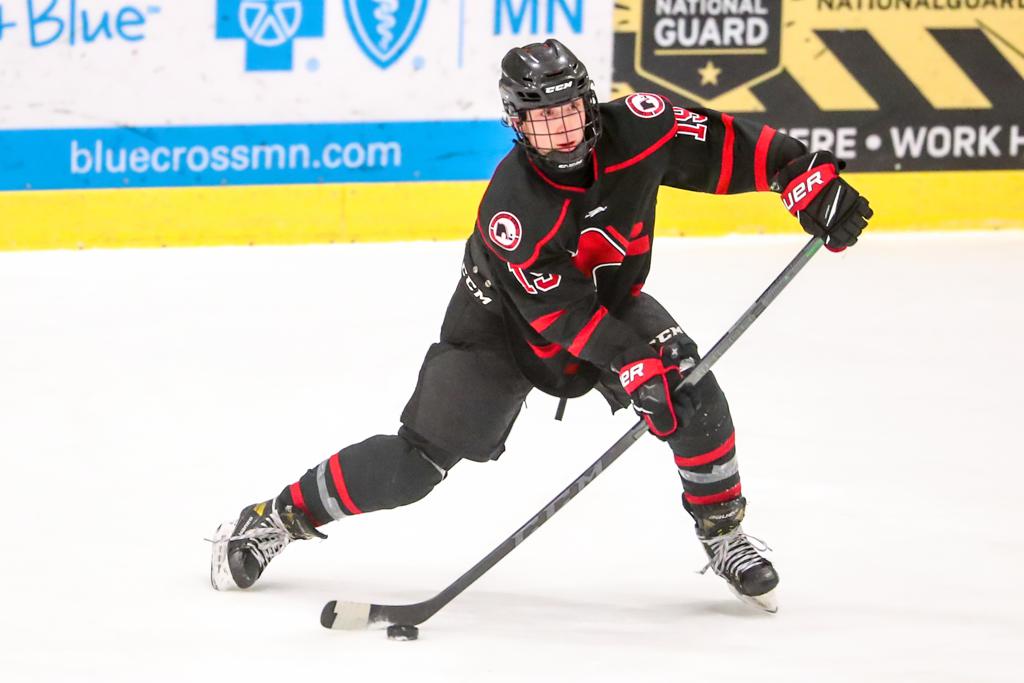 Lakeville North High School Athletics & Activities