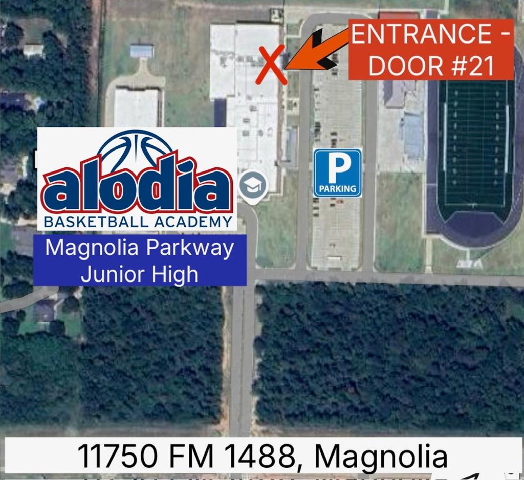 Magnolia Winter 2 Information