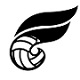 Texas Fury Volleyball Club